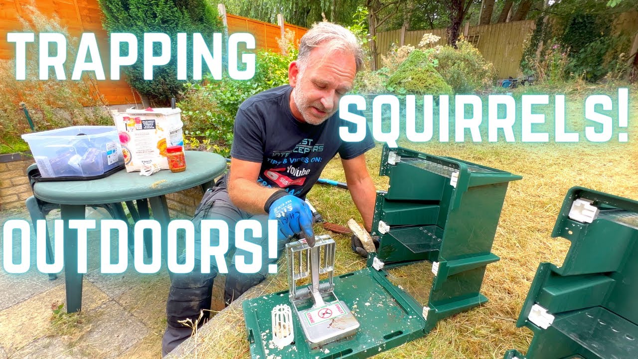 TRAP a SQUIRREL outside without harming BIRDS! We trial the Trapinator ...