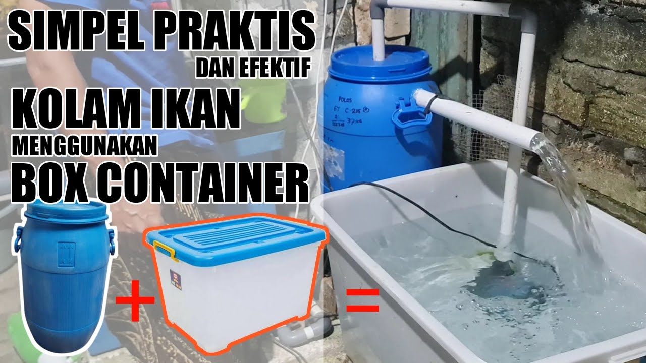KOLAM KARANTINA IKAN KOI MENGGUNAKAN BOX CONTAINER | SIMPEL PRAKTIS DAN ...