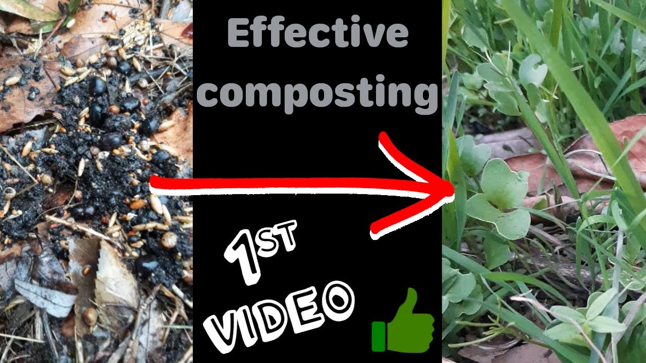 How to make effective compost for living soils - YouTube