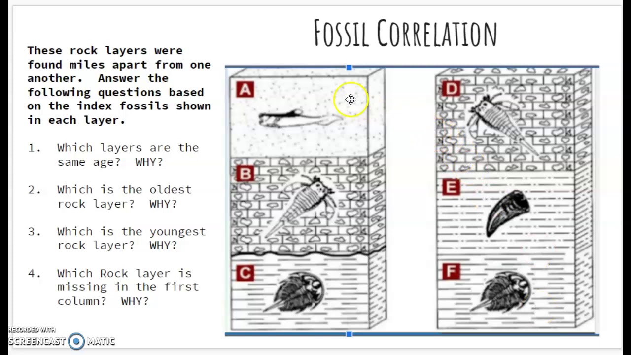 Index Fossils And Correlation Lab At Wade Arnold Blog 4331