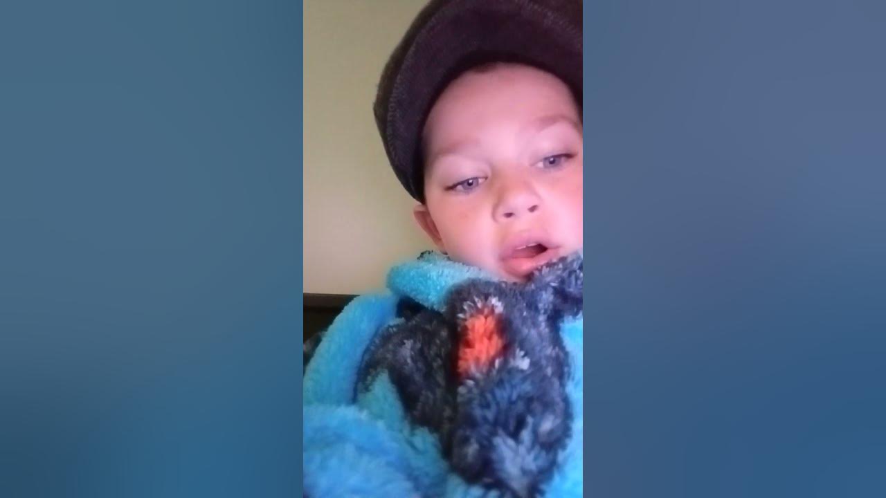 Toes Youtube
