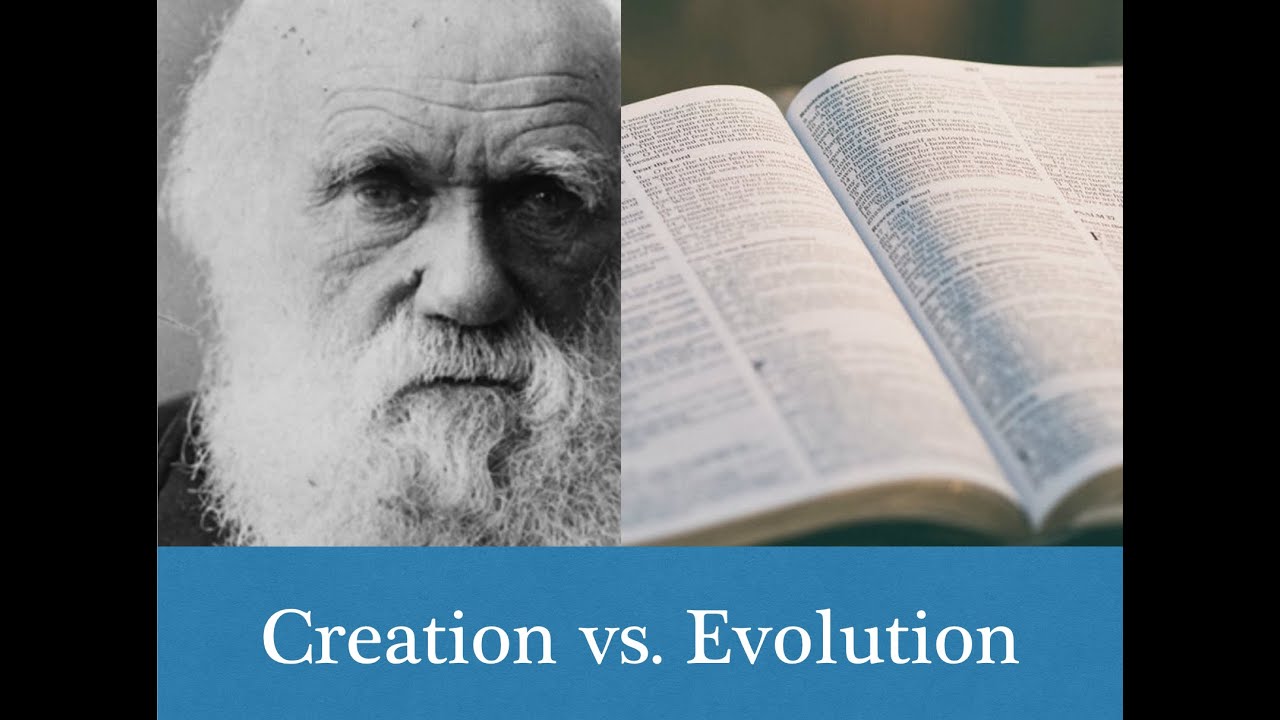 Creation vs Evolution: Could Evolution Fit in the Bible? - Wednesday ...