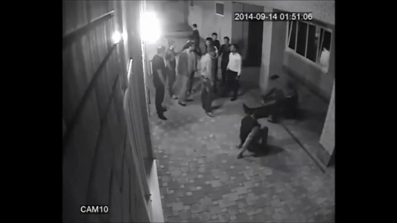 Boxer Caught on CCTV - Knocks out 3 Men! 🙀 Street Fight Self Defence ...