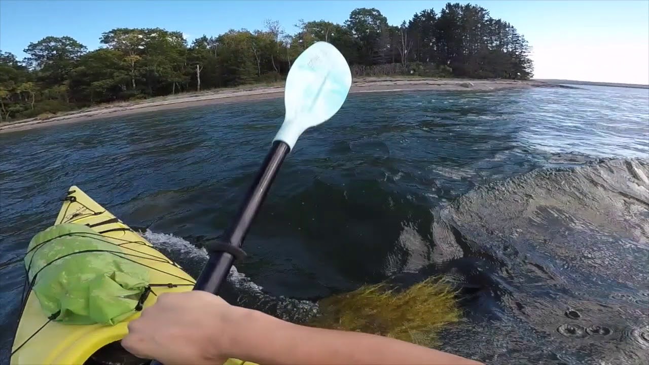At Sea - Collecting Seaweed - YouTube