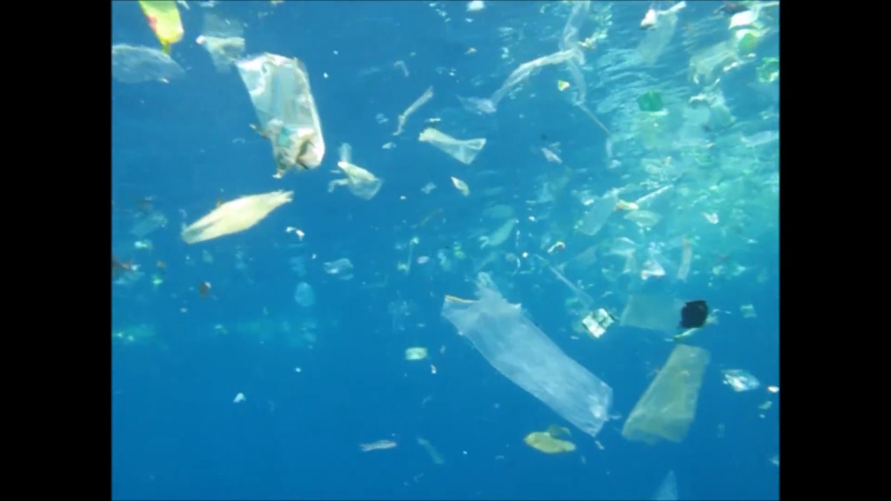 This is the Plastic Vortex - YouTube