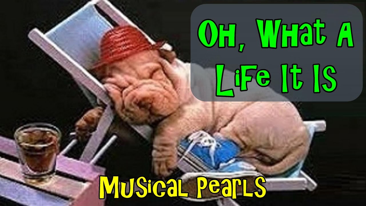MUSIC VIDEO Oh What A Life It Is ORIGINAL SONG by Steve Nielson - YouTube