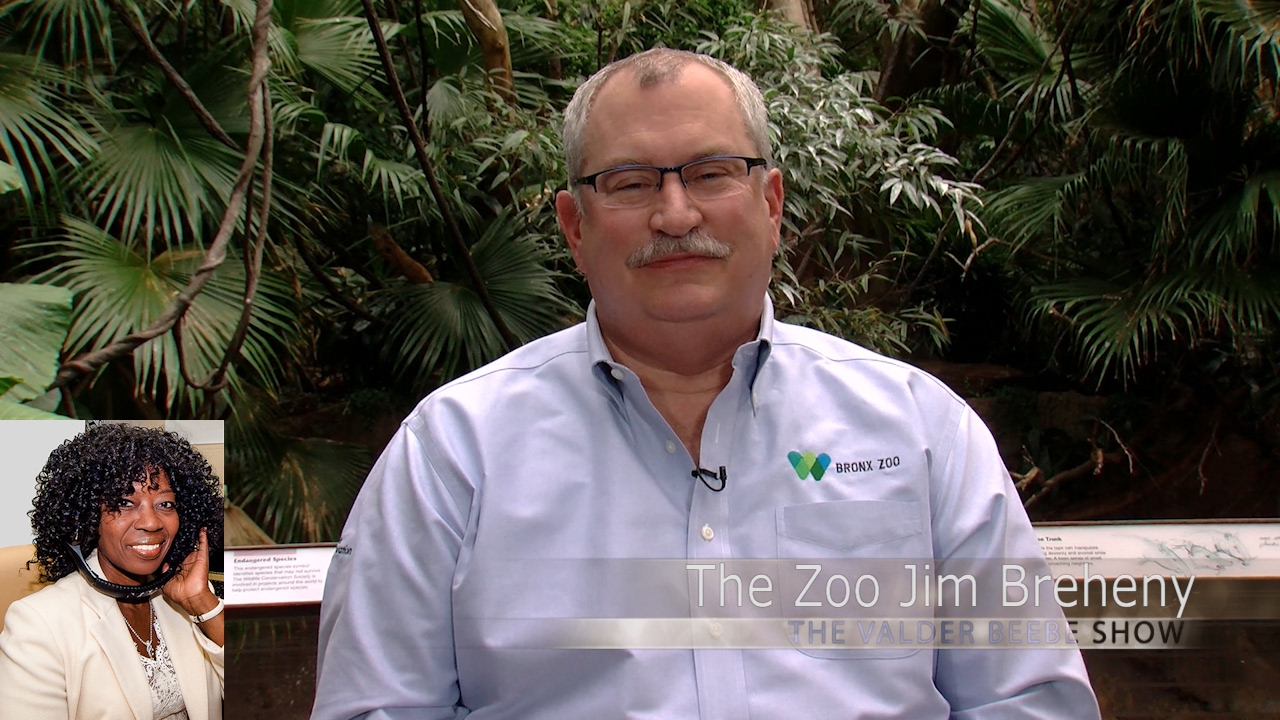 Animal Planet The Zoo Jim Breheny - YouTube
