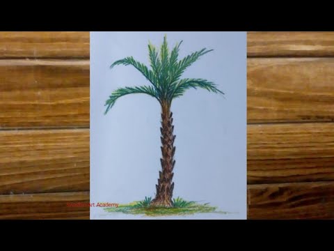How To Draw Date Plam Tree Very Easy || খেঁজুর গাছ ড্রয়িং - YouTube