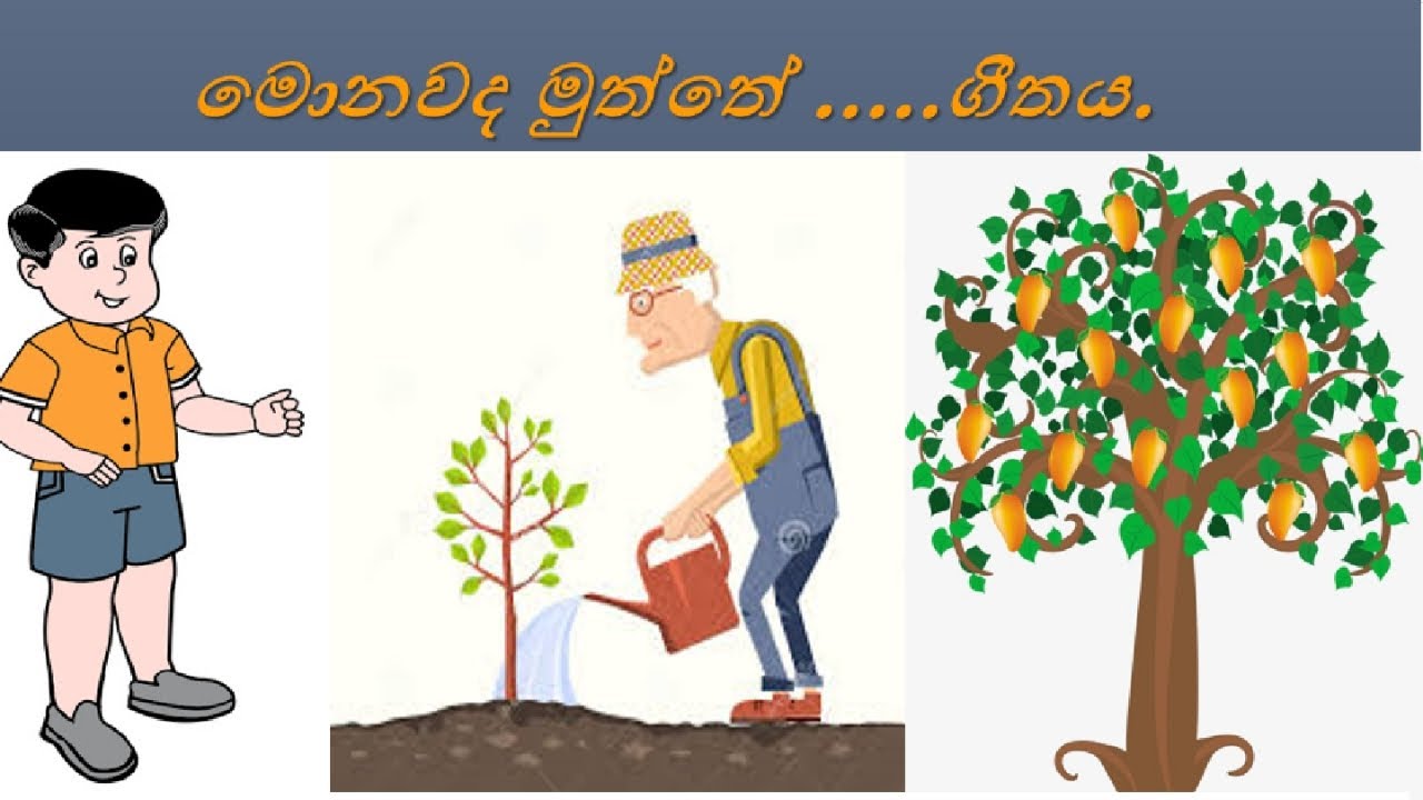 Monawada muththe .3 - ශ්‍රේණිය, පරිසරය. - YouTube