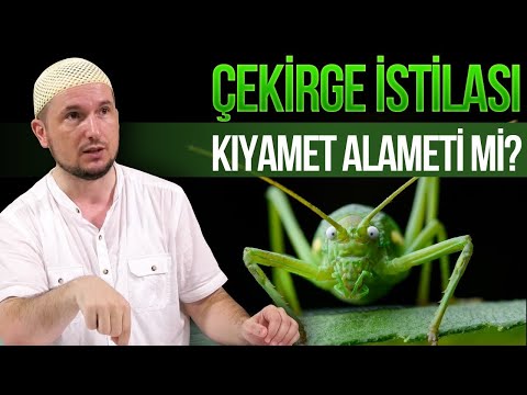 Çekirge istilası kıyamet alâmeti mi? / Kerem Önder