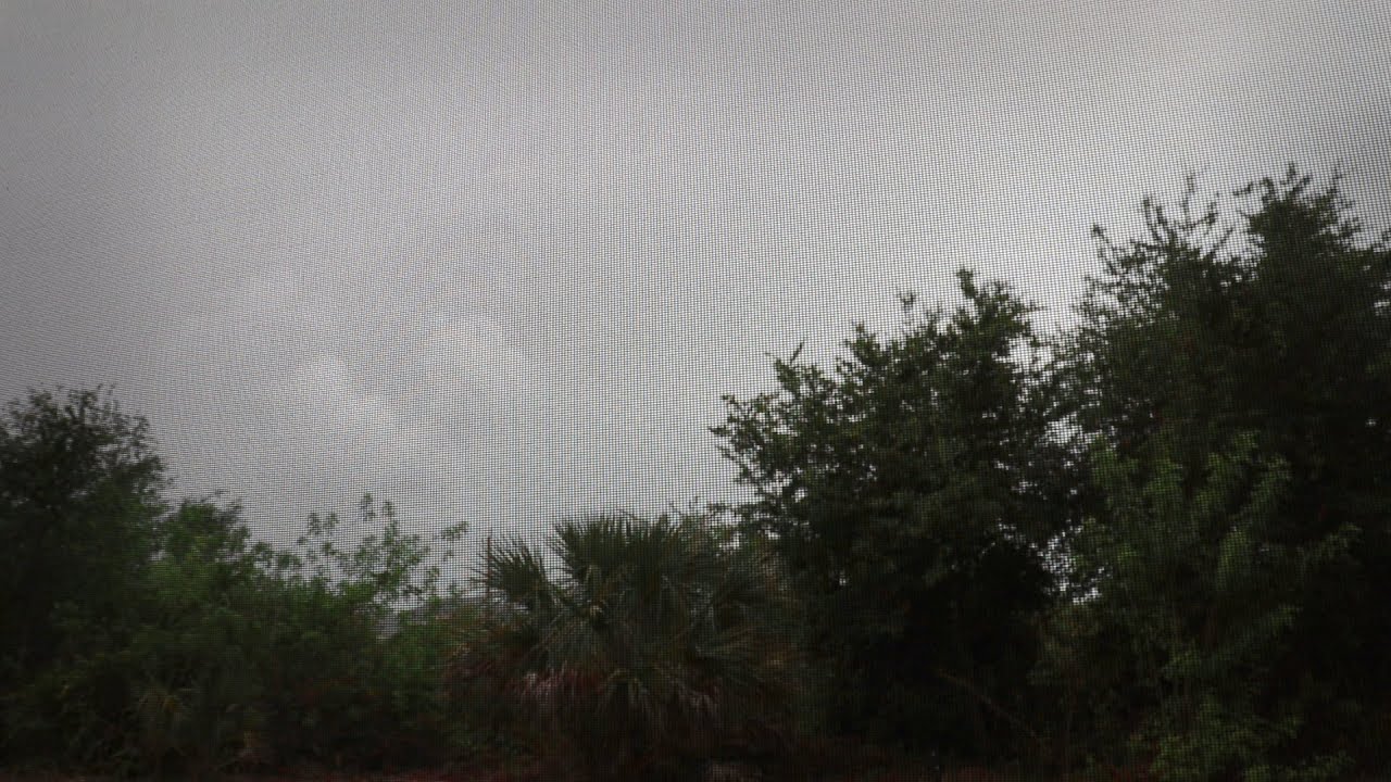 Overcast Weather & Light Rain for ASMR - YouTube
