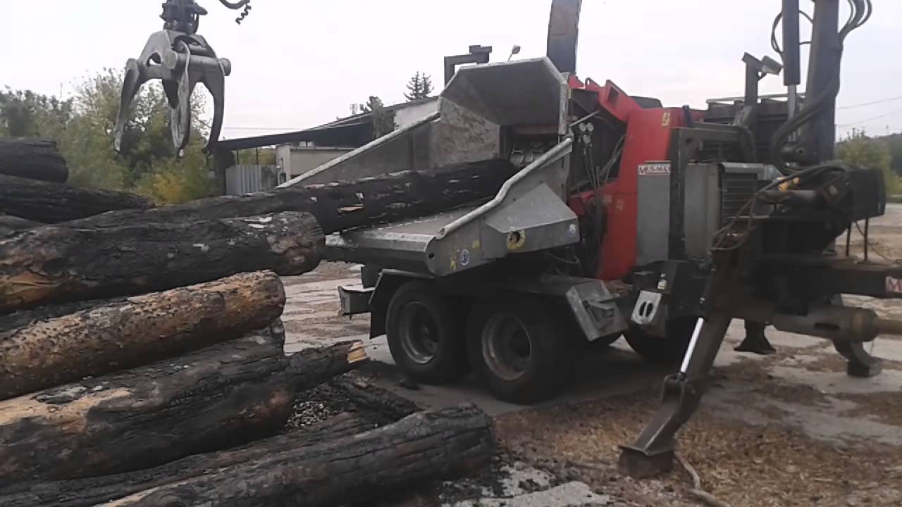 mus max 1982 - YouTube