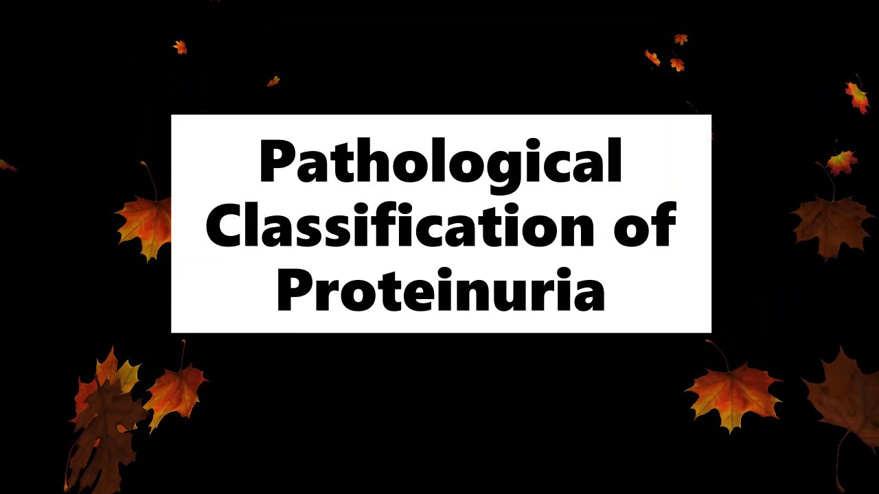 Pathological Classification of Proteinuria - YouTube