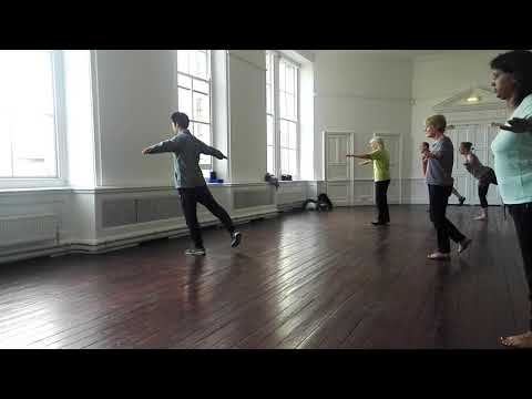 Tai Chi 8 Form Class with Robert Luo