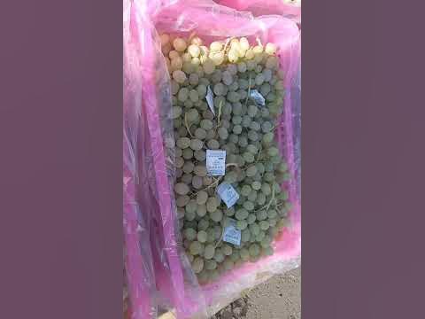 виноград свежий Китайский. - YouTube