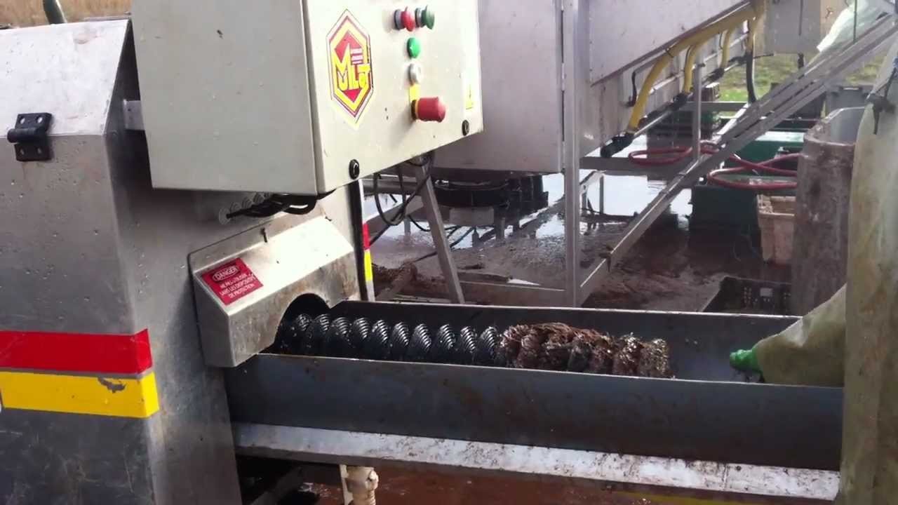 Oyster Collector Trashing Machine - YouTube