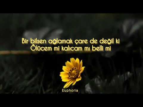 mustafa ceceli/ ekin uzunlar-öptüm nefesinden (lyrics)