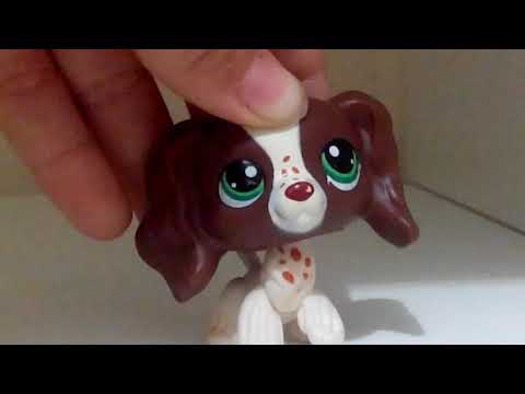 LPS-Especial 104 inscritos (TAG LPSTuber) - YouTube