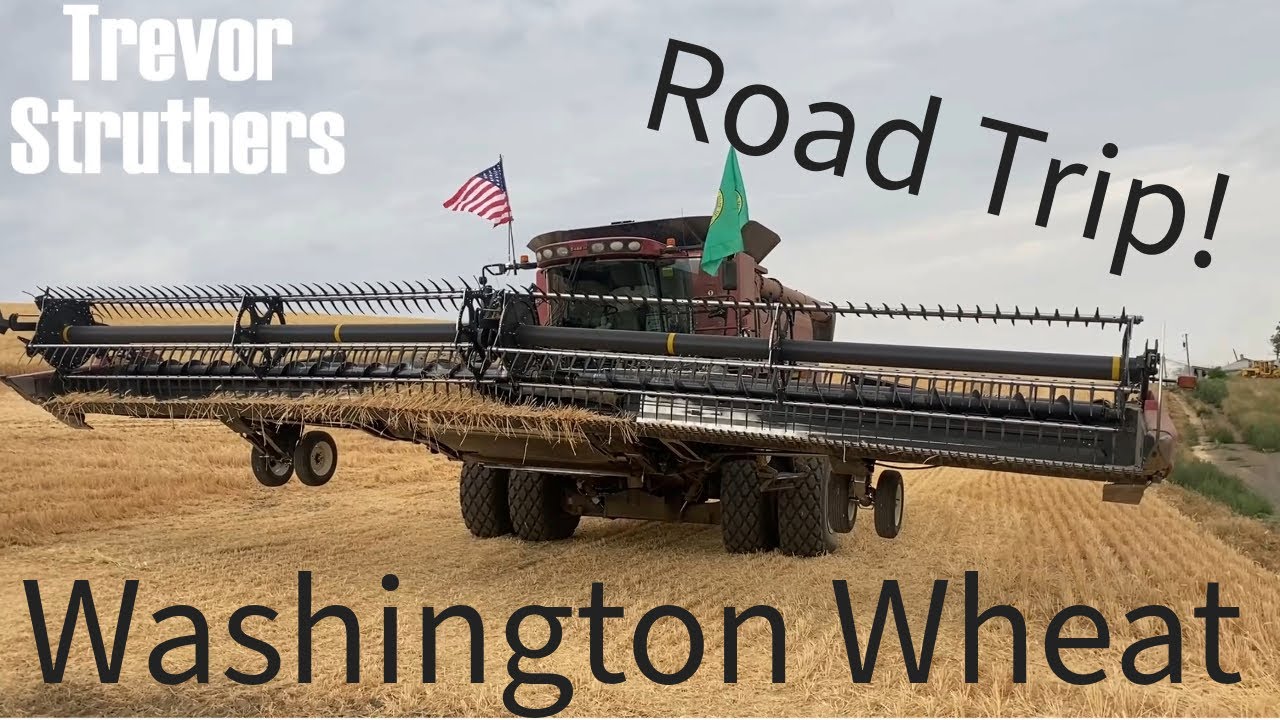 Wheat Harvest on the move - CASE Combines everywhere - Grain Hogs ...