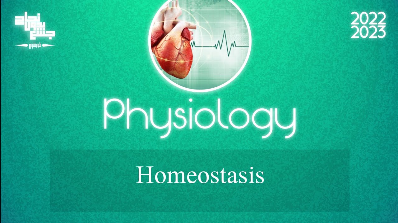 pract 2, homeostasis, physiology - YouTube
