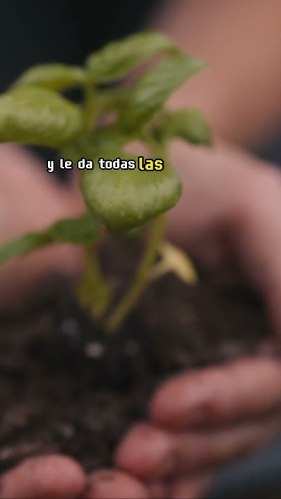 Que Pasó El Sexto Dia De La CreaciÓn Genesis1 Historiasdelabiblia Youtube