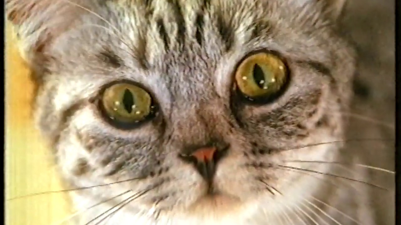 1999 UTV (ITV) adverts & continuity - YouTube