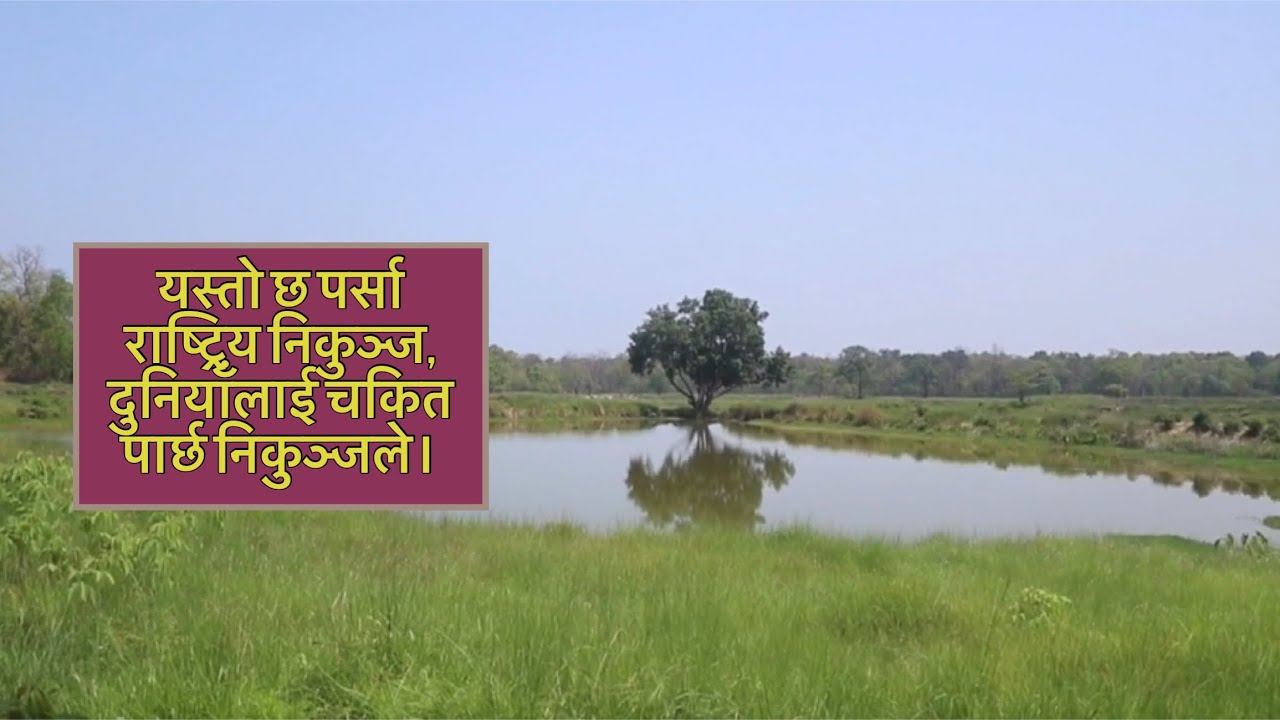 Parsa National Park | 2019 | के के छ पर्सा राष्ट्रिय निकुञ्जमा ...