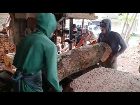 POTONG KAYU MAHONI KEBANYAKAN UKURANYA JD RUWET