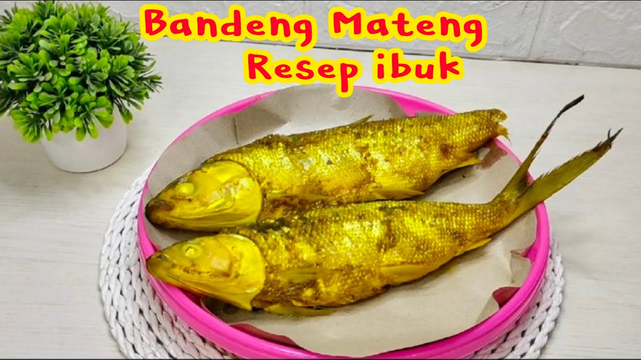 RESEP BANDENG MATENG ENAK || BANDENG KUNING - YouTube