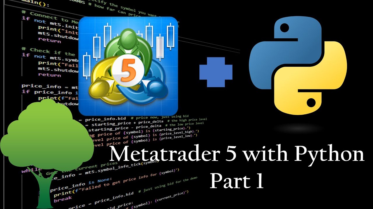 Use Python with Metatrader (Part 1) - YouTube