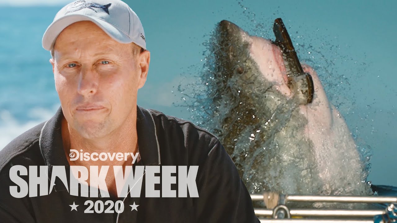 Filming the Legendary Hornet Breach | Shark Week - YouTube