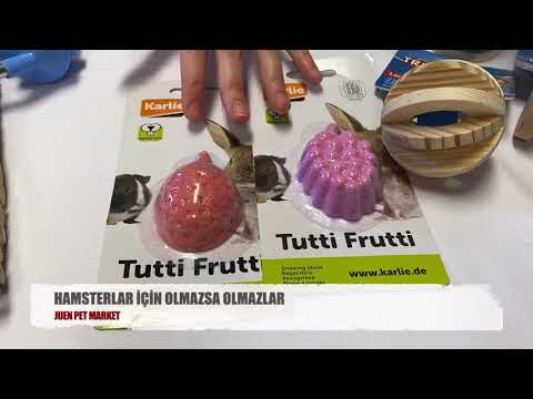 Hamsterlar için olmazsa olmazlar