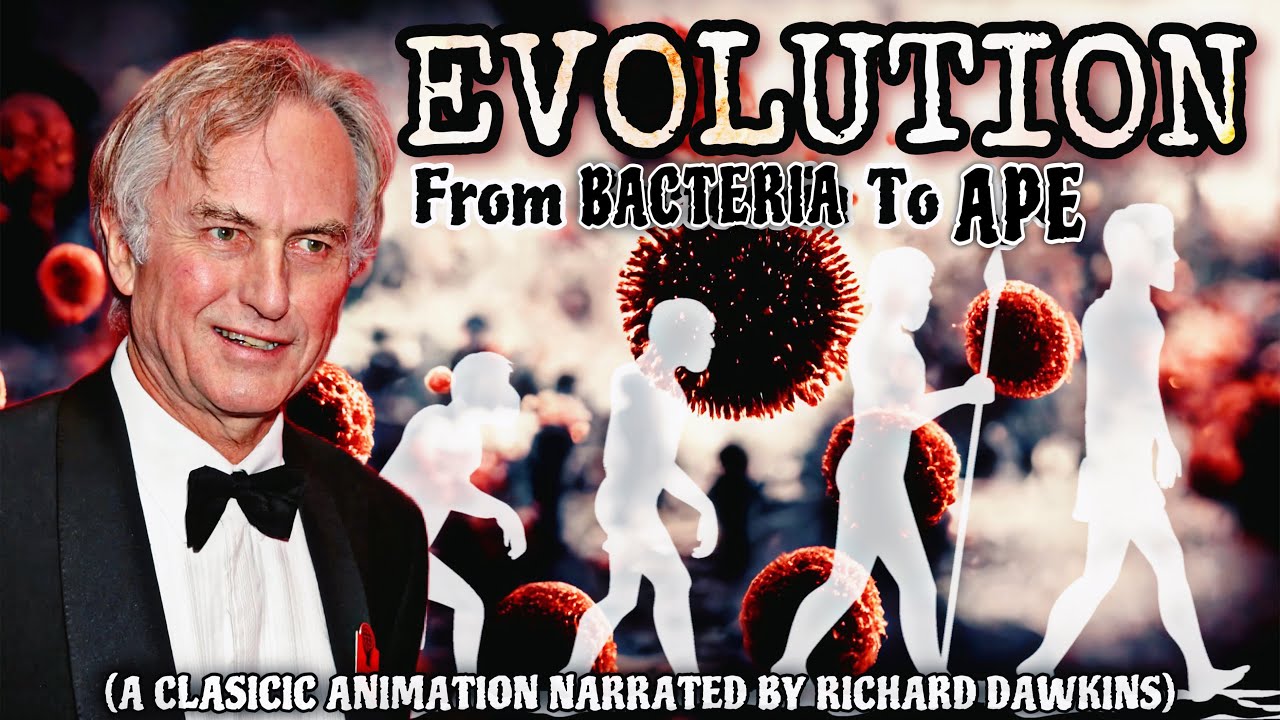 The Evolution Of Humans (Video Animation): From Bacteria To Ape ...