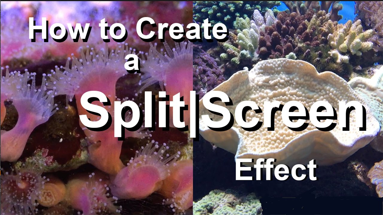 How to Create a Split Screen Effect in iMovie and Screenflow - YouTube