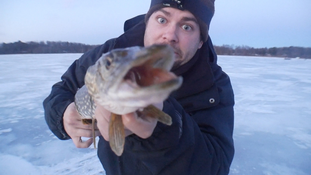 Fish 20 Emily 0 - YouTube