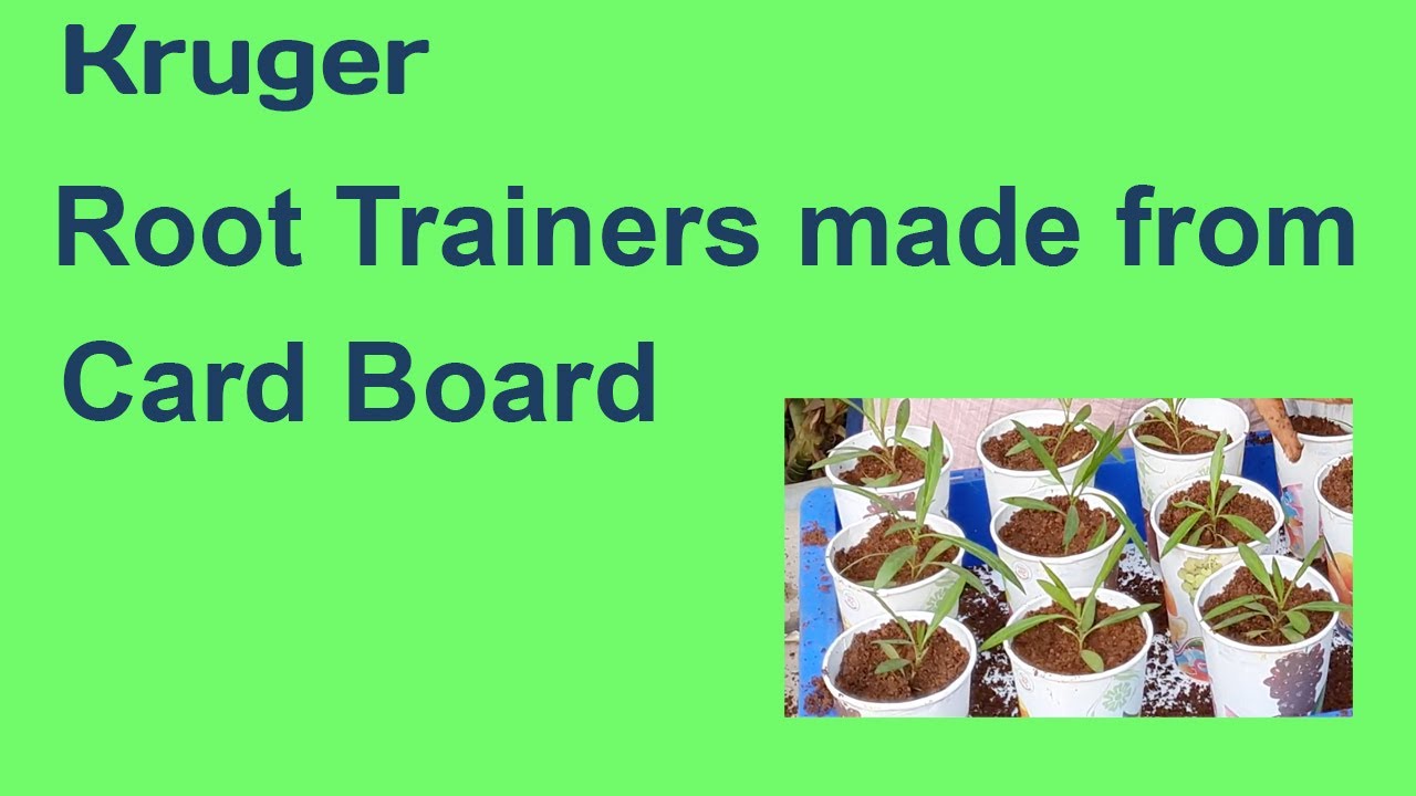 Root trainers made from Cardboard HD 1080p HD 1080p - YouTube