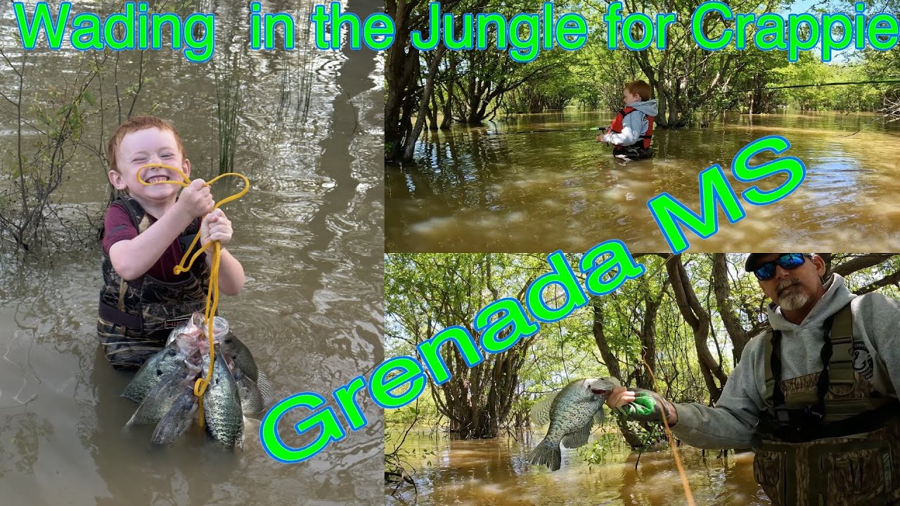 Crappie Fishing Catching Crappie Wading Grenada Lake - YouTube