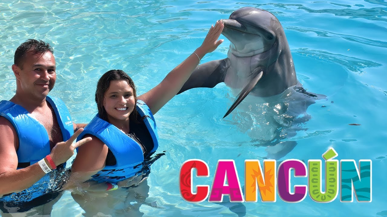 Swimming with Dolphins in Cancun - Mexico (Delphinus) - YouTube