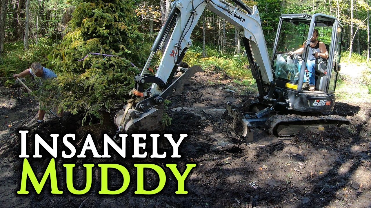 Planting Trees in Mud with an Excavator - YouTube
