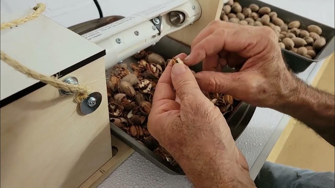 How to Crack PECANS, One at a TIME! Kinetic Kracker II - YouTube