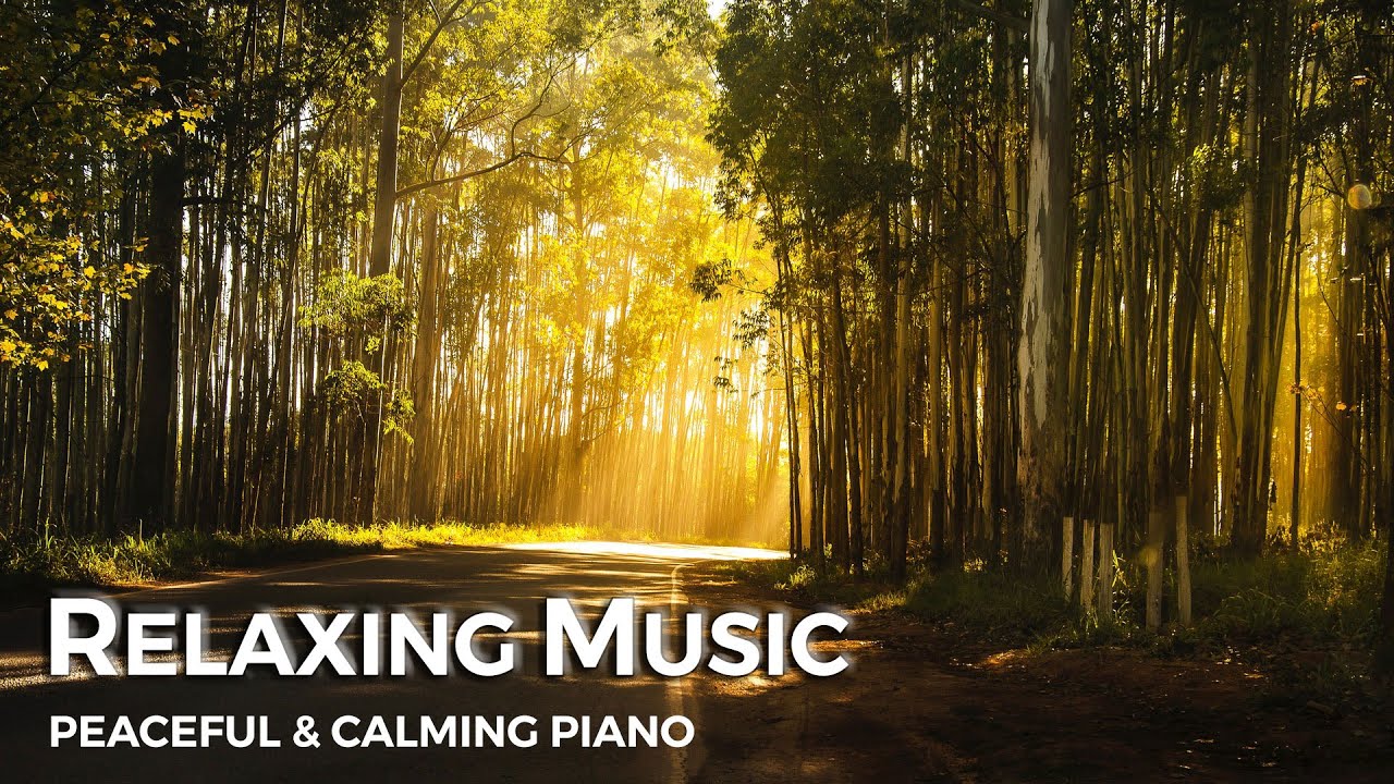 Relaxing Piano Music | Background Music for Better Focus in Study ...