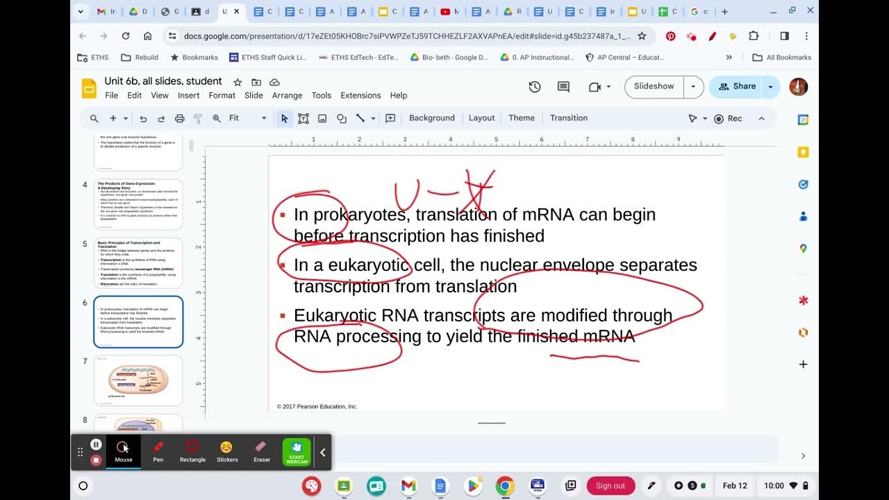 Unit 6b - Introduction to Gene Expression - YouTube
