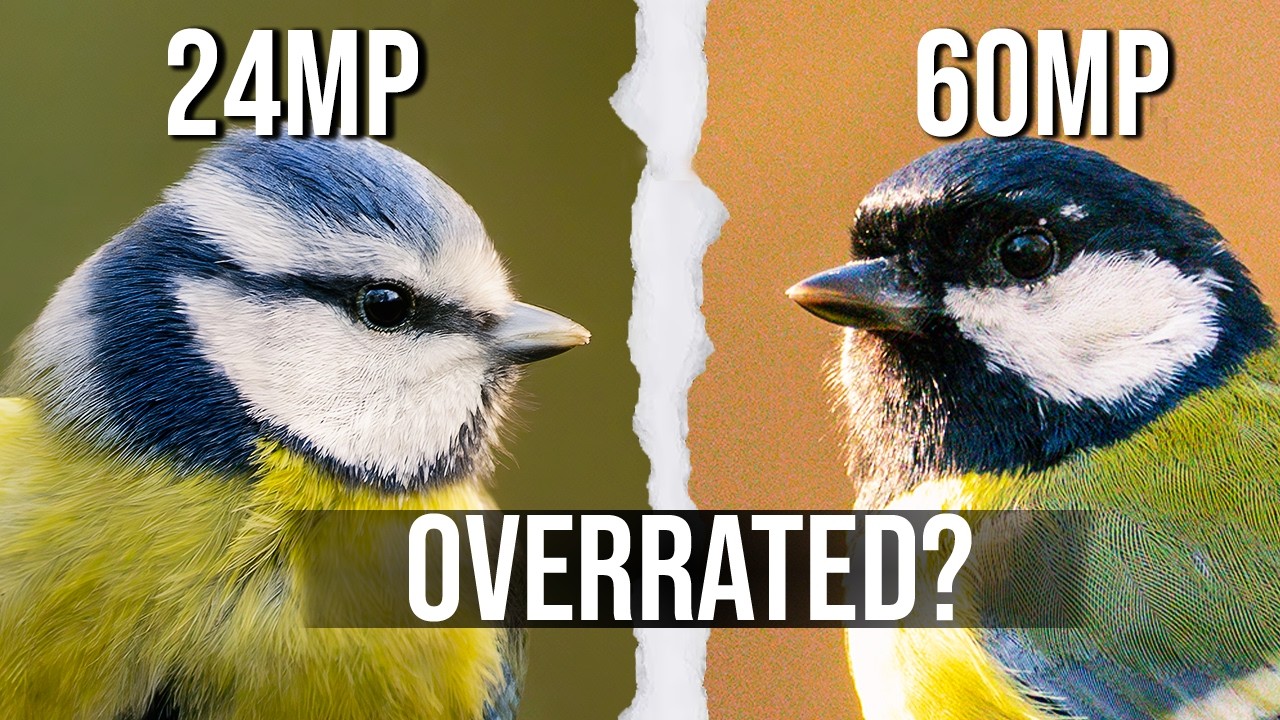 Are High Megapixel Cameras Still Worth It? | High MP vs AI Upscalling ...