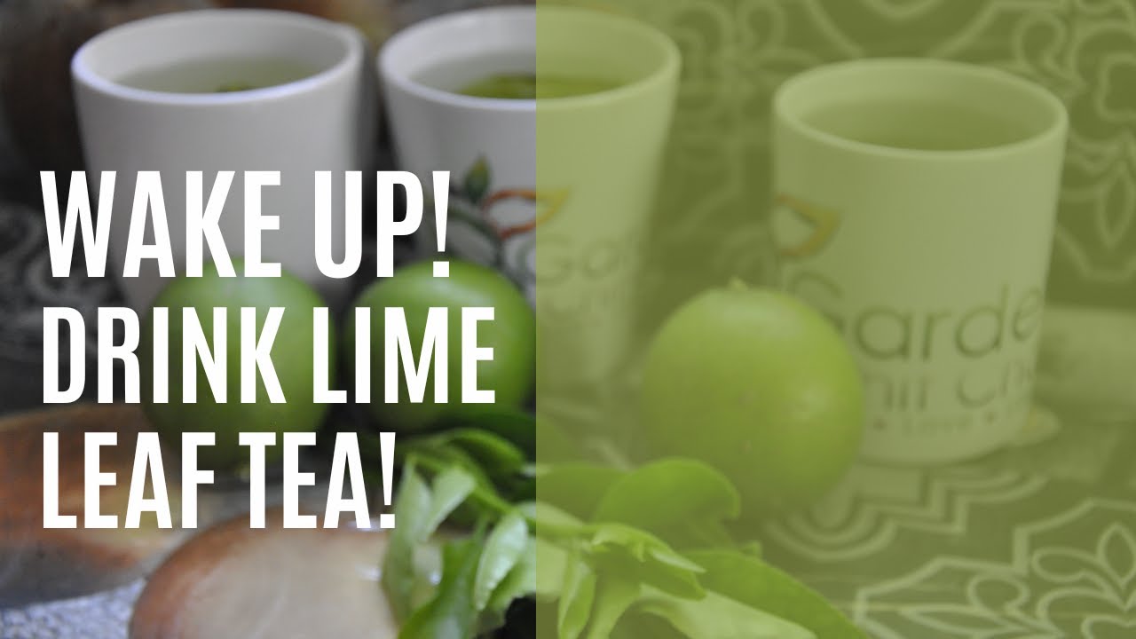 Homemade Lime Leaf Tea - YouTube