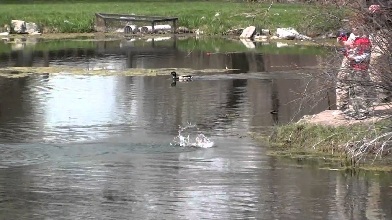 Skylar Pond in Logan, Utah - YouTube