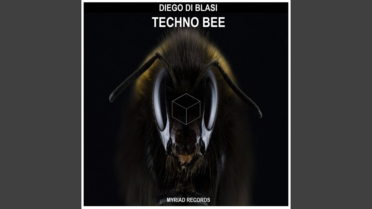 Techno Bee - YouTube