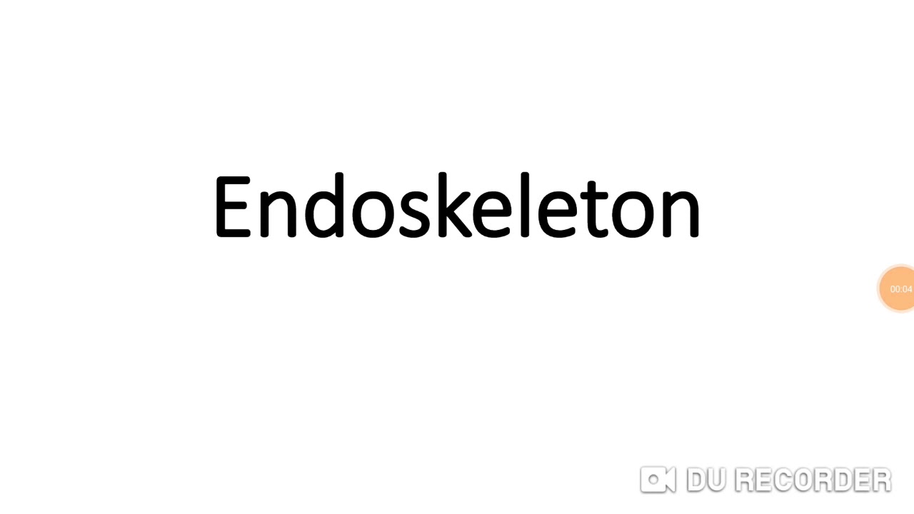 FSc biology book2 ch2 endoskeleton - YouTube