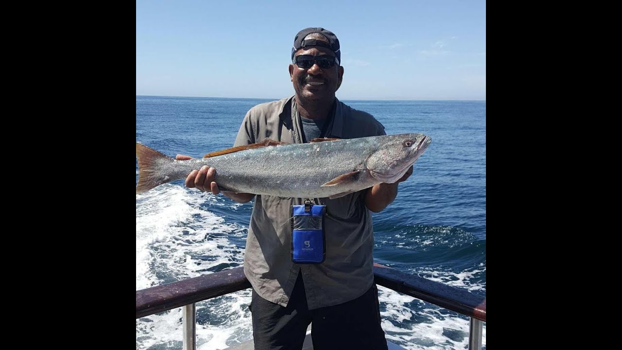 Stan Brown Video Tribute - YouTube