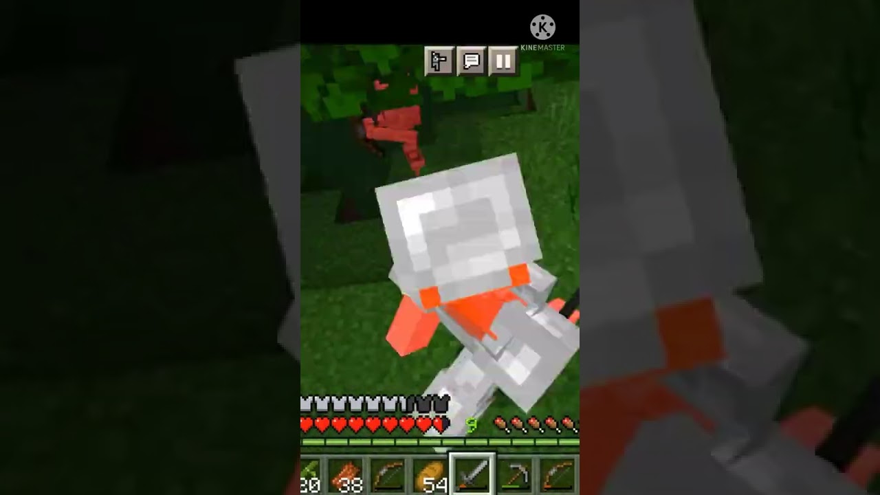 MOST WIERD THINGS IN MINECRAFT - YouTube