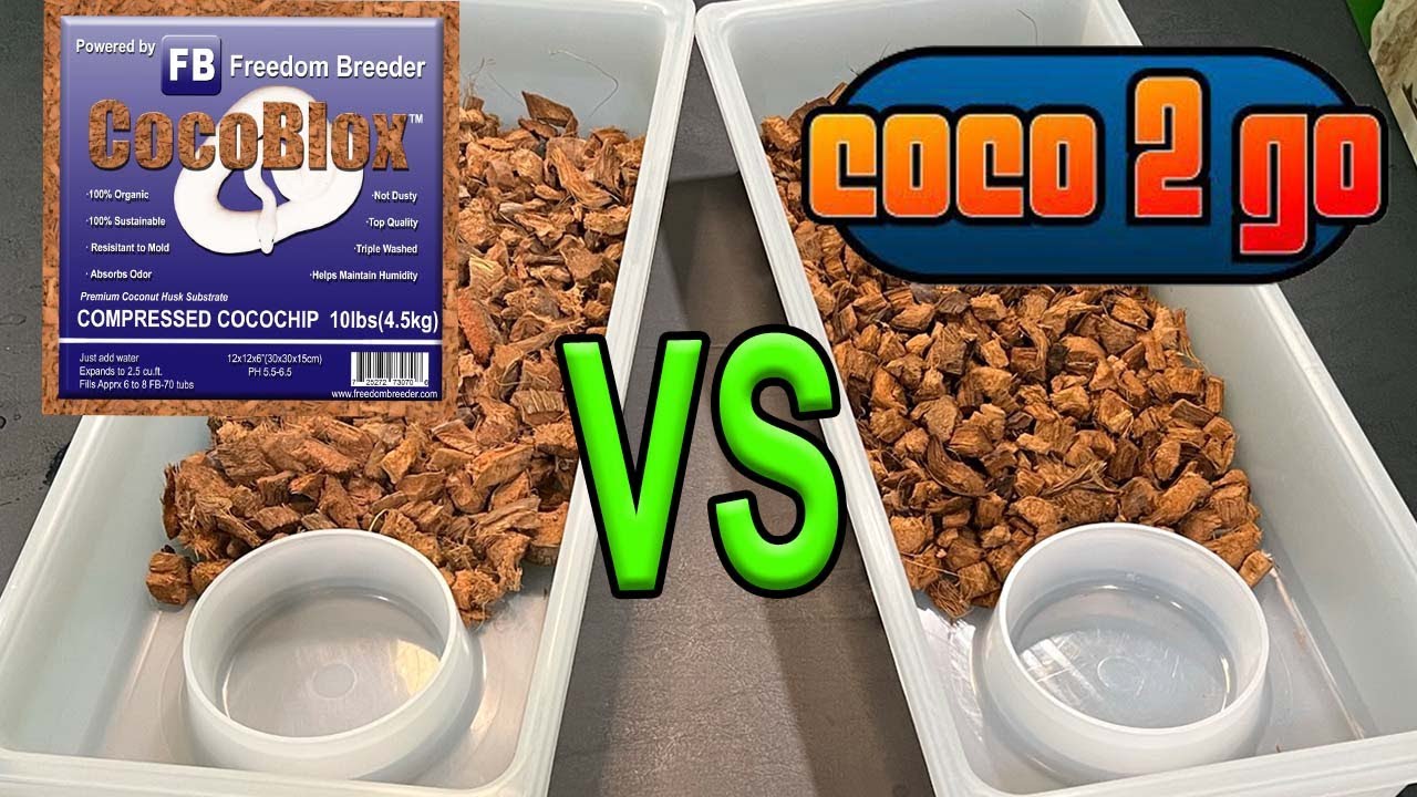 CoCo2Go Review (CoCo2Go Vs Freedom Breeder CoCo Blox) - YouTube